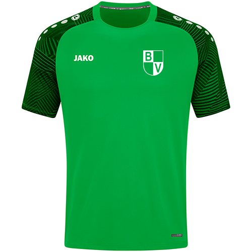 GW Holt T-Shirt Performance KIDS | Grün Weiss Holt | Fussball | Vereinsshops | SanDe Teamsport ...